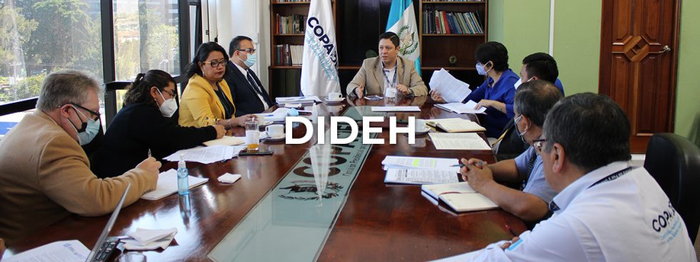 DIDEH | Comisión Presidencial por la Paz y los Derechos Humanos